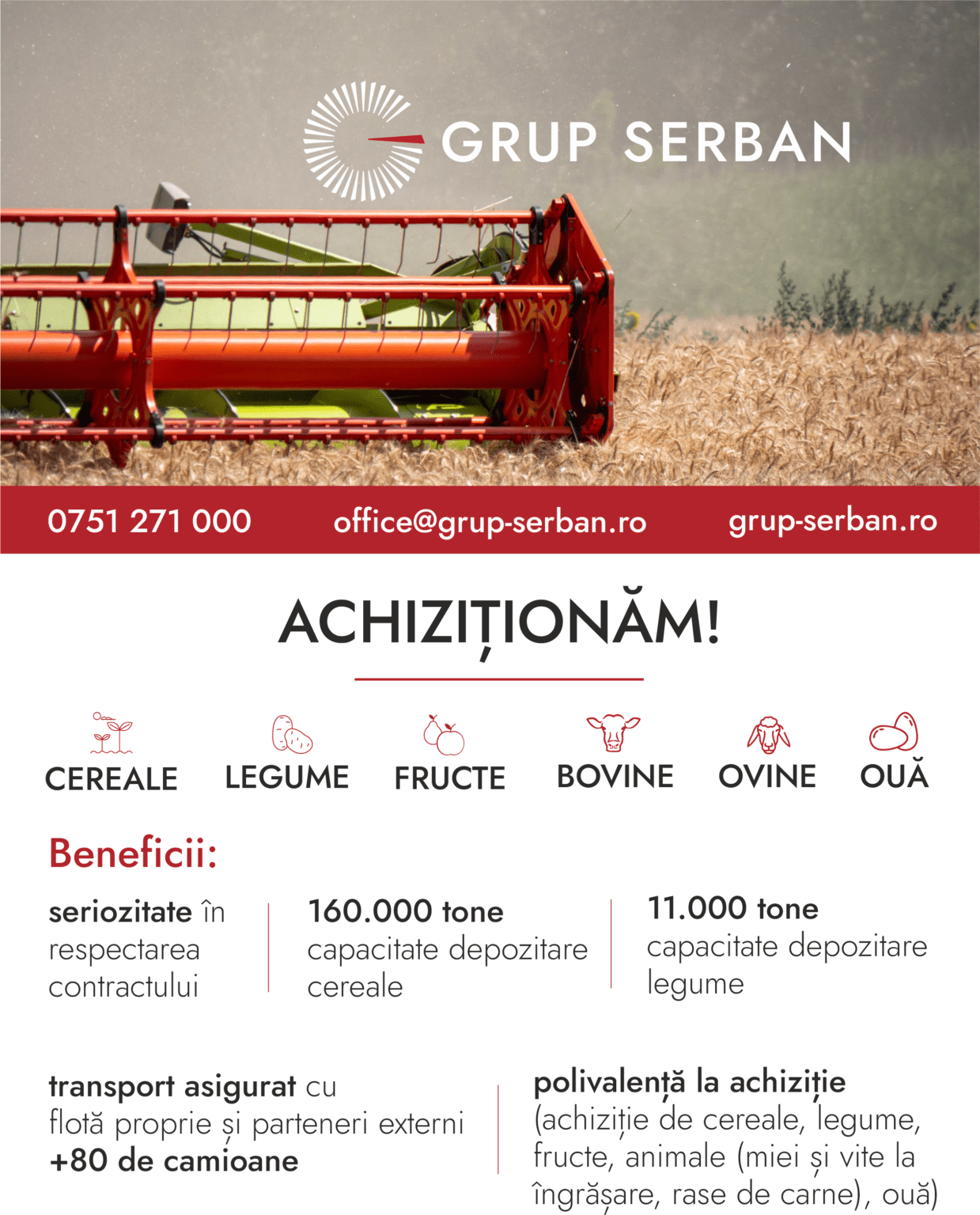 Achiziții - Grup Serban